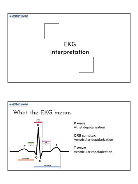 Qrs Complex Depolarization