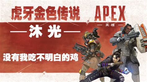 Apex 配件讲解 哔哩哔哩