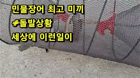 민물장어미끼 미꾸라지 돌발영상 세상에이런일이 뱀조심합시다 Youtube