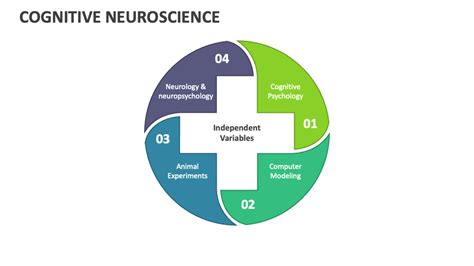 Cognitive Neuroscience PowerPoint And Google Slides Template PPT Slides