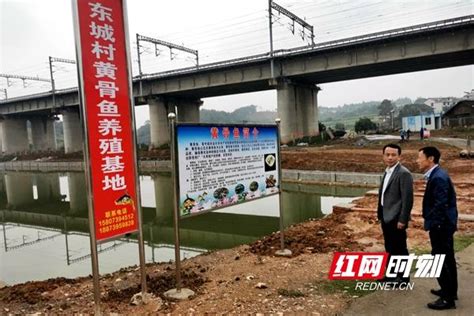 邵阳经济技术开发区昭阳片区：抓好产业发展，推动乡村振兴医药医改频道东方养生