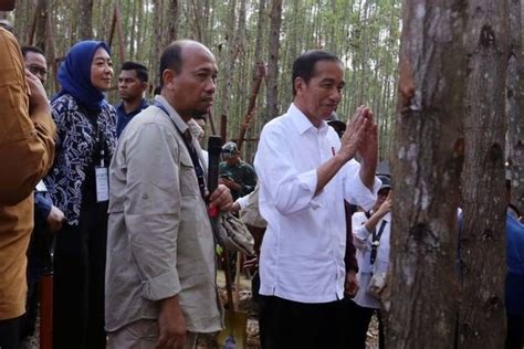 Jokowi Groundbreaking IKN Tahap IV Besok Ada Masjid Bisa Tampung 1