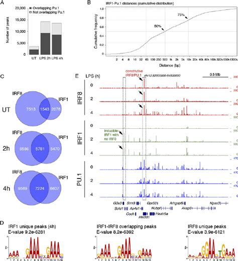 Relationship Between Basal And Lps Inducible Irf1 And Irf8 Binding A