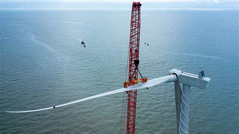 Rwe Wins Gulf Of Mexico Offshore Wind Lease Auction