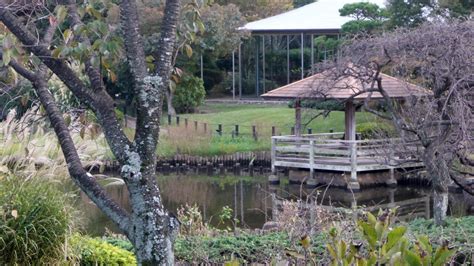 晩秋の馬場花木園は静かにゆったりと過ごせます 興味をもってチャレンジ