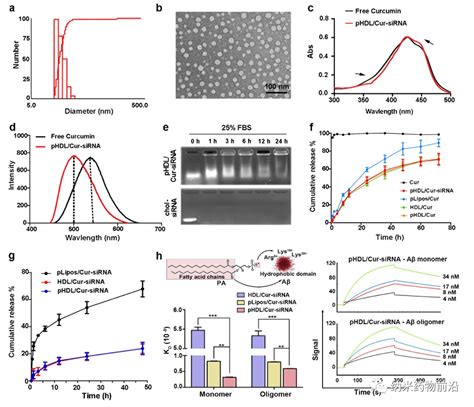 中国药科大学药学院周建平 丁杨团队nl：“三位一体”式脂蛋白纳米清道夫用于调节小胶质细胞源性神经炎症以治疗阿尔兹海默症 腾讯云开发者社区 腾讯云