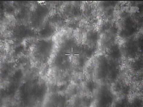 Thermal Bird Nests 2 Object Detection Dataset By Birdnests