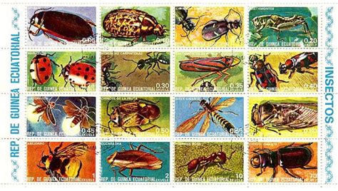 Блок почтовых марок Экваториальной Гвинеи с жуками и другими насекомыми ...