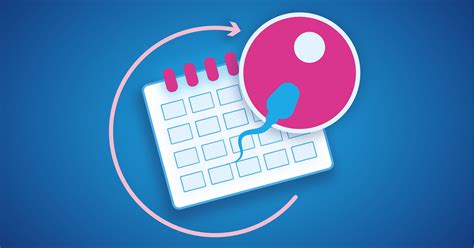 Ovulation Calculator