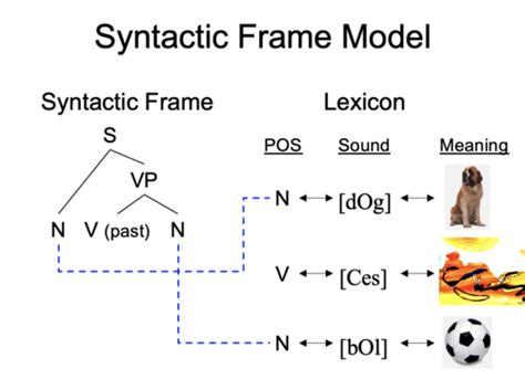 Speech Production And Speech Errors Landm L10 Flashcards Quizlet