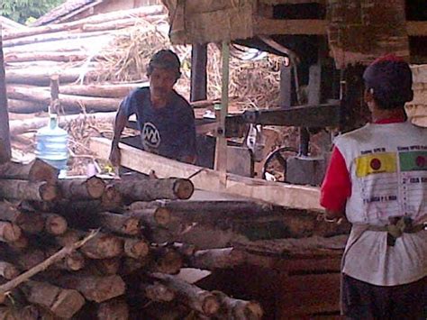 Jual Kayu Kayu Bekisting Kaso Balok Papan Dan Reng