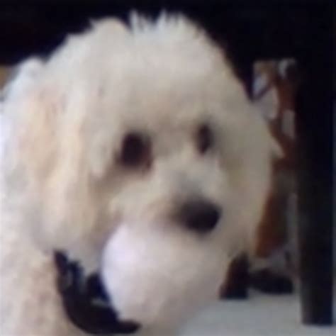 Madison Hyde Youtube