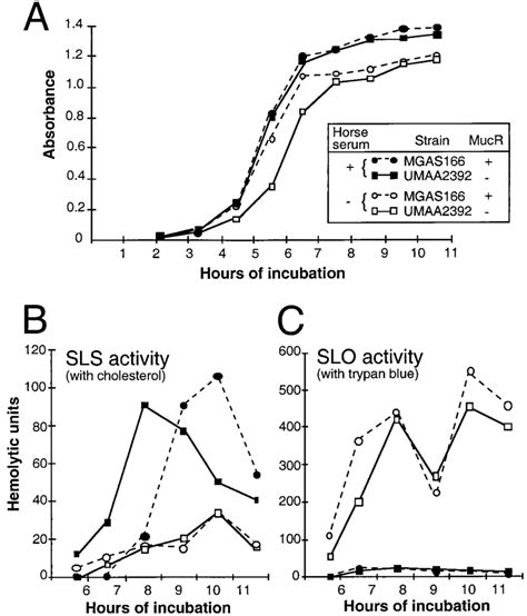 Hemolytic Activities Of Streptococcal Supernatants During 11 H Of Broth Download Scientific