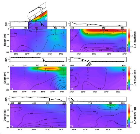 Vertical Distribution Of Biogenic Silica Concentrations Along The Seven