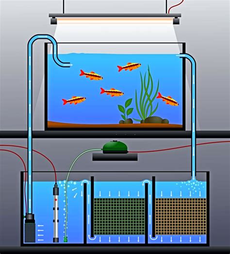 The Seamless Sump A Beginners Guide To Aquarium Sumps