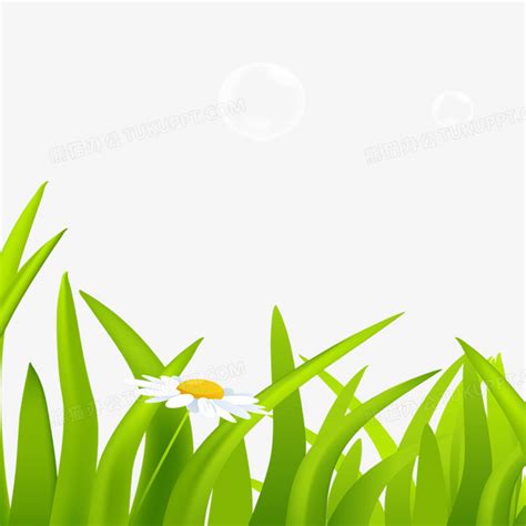 小草PNG图片素材下载 小草PNG 熊猫办公