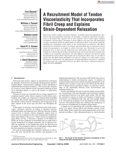 Pdf A Recruitment Model Of Tendon Viscoelasticity That Incorporates