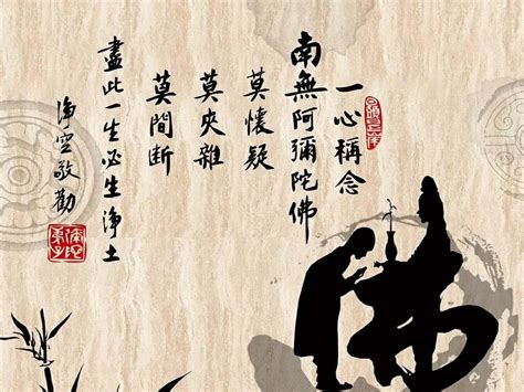 杂感 知乎