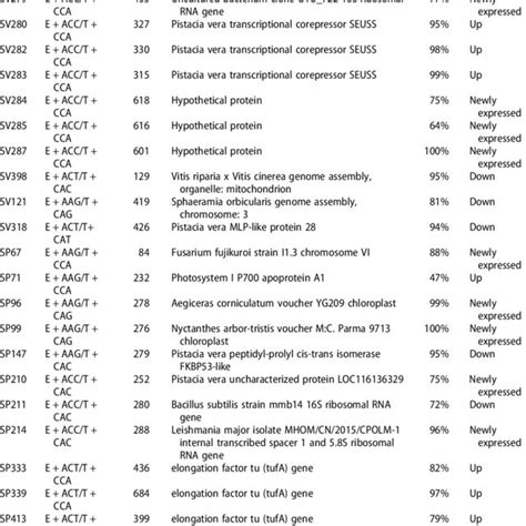 Differential Display Of Transcript Derived Fragments Tdfs Products Download Scientific