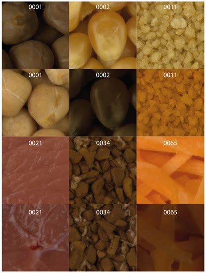 Geosciences Special Issue Advances And Applications In Computational Geosciences Geosciences Special Issue Advances And Applications In Computational Geosciences