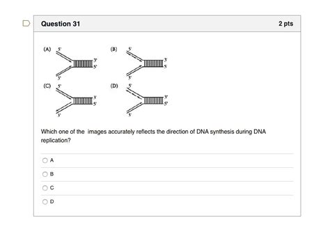 solved question 31 2 pts which one of the images accurately reflects