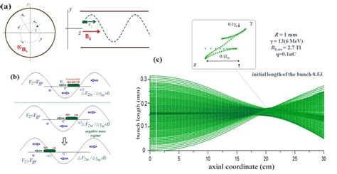 A Cross Section Of The Cavity The Longitudinal Section Of The Download Scientific Diagram