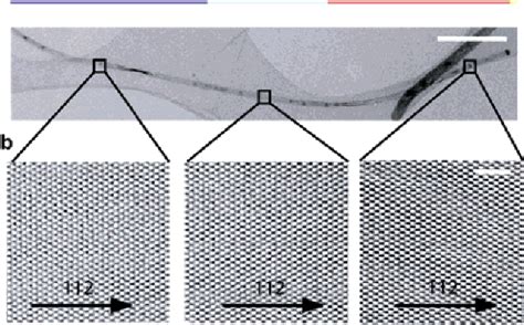 Figure 1 From Single P Type Intrinsic N Type Silicon Nanowires As Nanoscale Avalanche