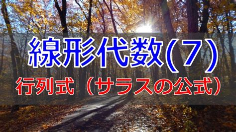 【行列式の計算（サラスの公式）】3次正方行列は簡単。｜宇宙に入ったカマキリ
