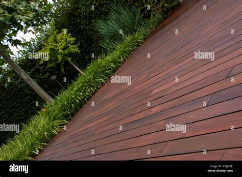 Wood Brown Decking Ipe Texture And Garden Greenery With Evergreen Ornamental Grass On Background