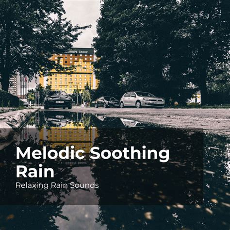Melodic Soothing Rain Album By Relaxing Rain Sounds Spotify