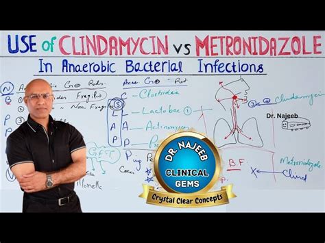Free Course Clindamycin Vs Metronidazole For Anaerobic Infections