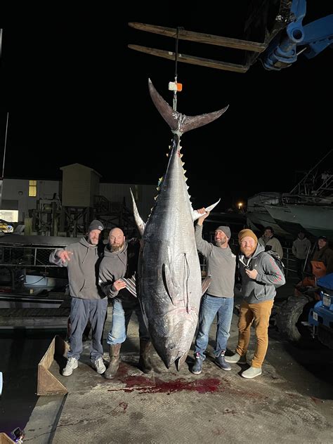 Huge Fish Rmegalophobia