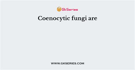 Coenocytic Fungi Are