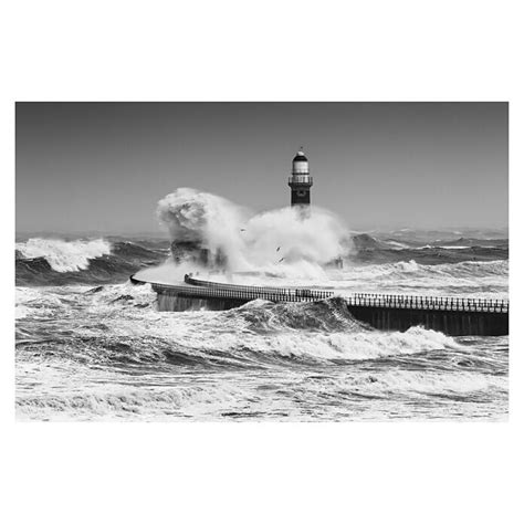 Papermoon Premium Collection Fototapete Macht Des Meeres B X H 350 X