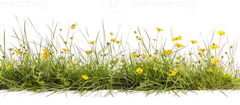 Tranquil Meadow Transparent Background Yellow Blossoms 46303856 PNG
