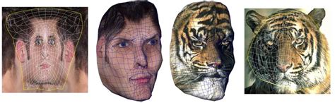 5 Two Examples Of Constrained Texture Mapping Lévy 2001 Download