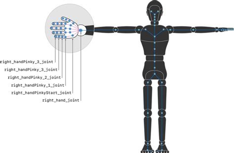 Validating A Model For Motion Capture Apple Developer Documentation