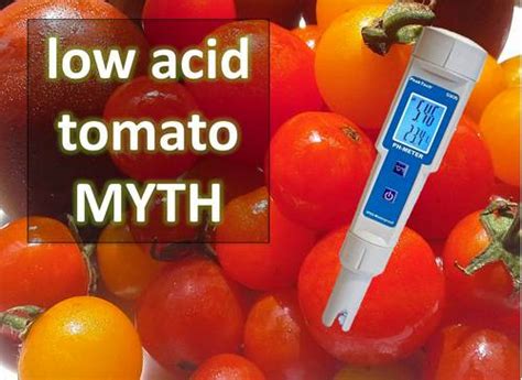 Low Acid Tomatoes Do They Exist