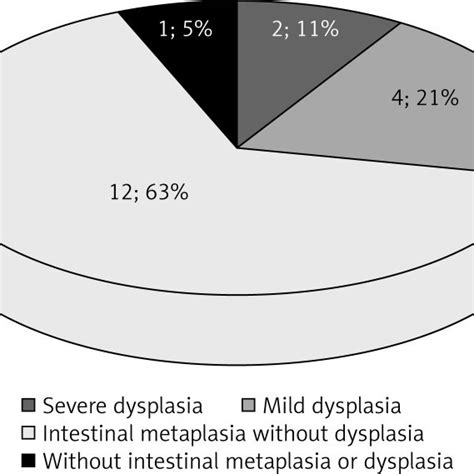 Left Short Segment C0 M1 By The Prague Classification Barretts Download Scientific