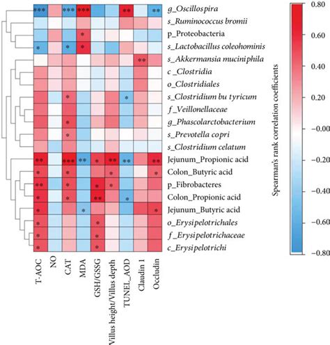 The Correlation Between The Identified Differential Bacteria And The