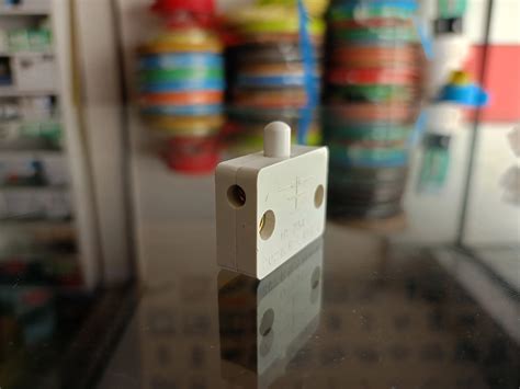 Door Limit Switch 1a