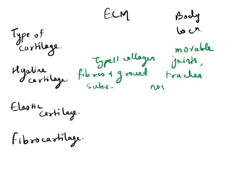 Solved In The Following Table Describe The Extracellular Matrix Of