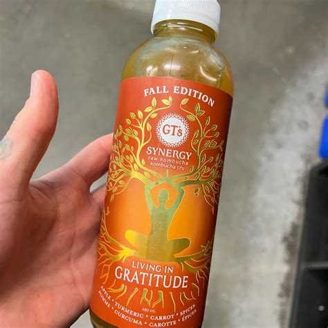 Gts Living Foods Fall Edition Synergy Raw Kombucha Living In Gratitude
