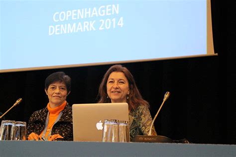 La Previa Del Informe Final Nexciencia Exactas Uba Ar