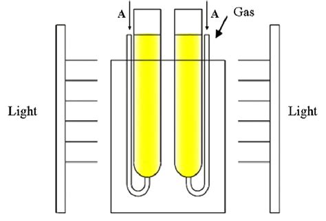 Schematic Diagram Of The Bubble Column Bioreactor A Side A With An Download Scientific