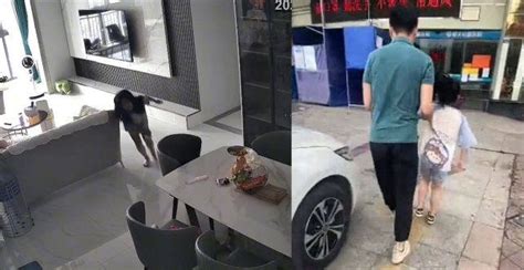 9岁女孩独自在家突然被剪刀扎伤，捂伤口跑出门求助邻居，全程淡定腾讯新闻