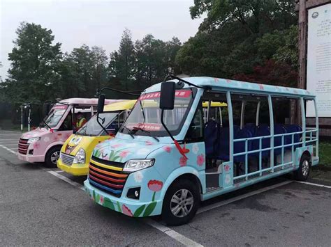 武汉樱花电动观光车 五菱专用车