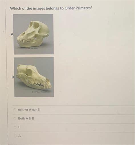 Identify Which Habitual Locomotor Pattern Is Shown
