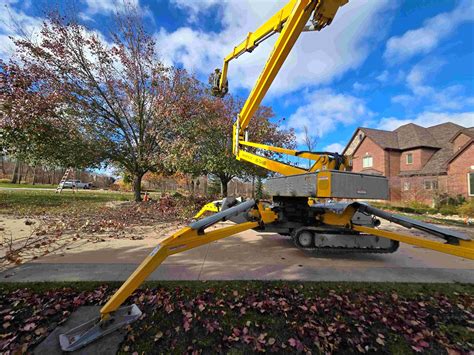 Tree Pruning Methods Types Owen Tree Service