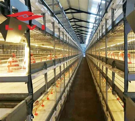 Automatic H Type Broiler Battery Cages For 10000 50000 Birds Poultry